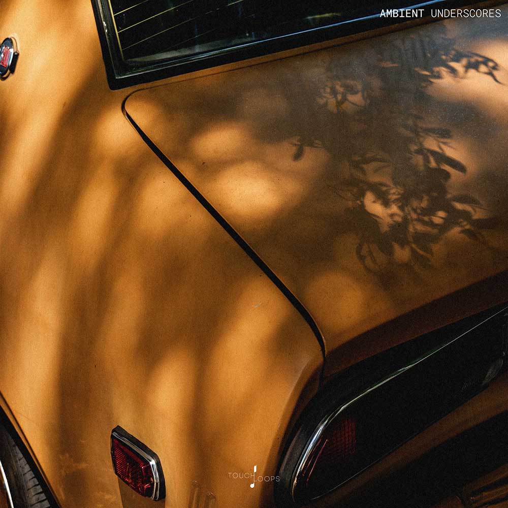 Ambient Loops & Samples | Soundscape Loops | Sample Packs