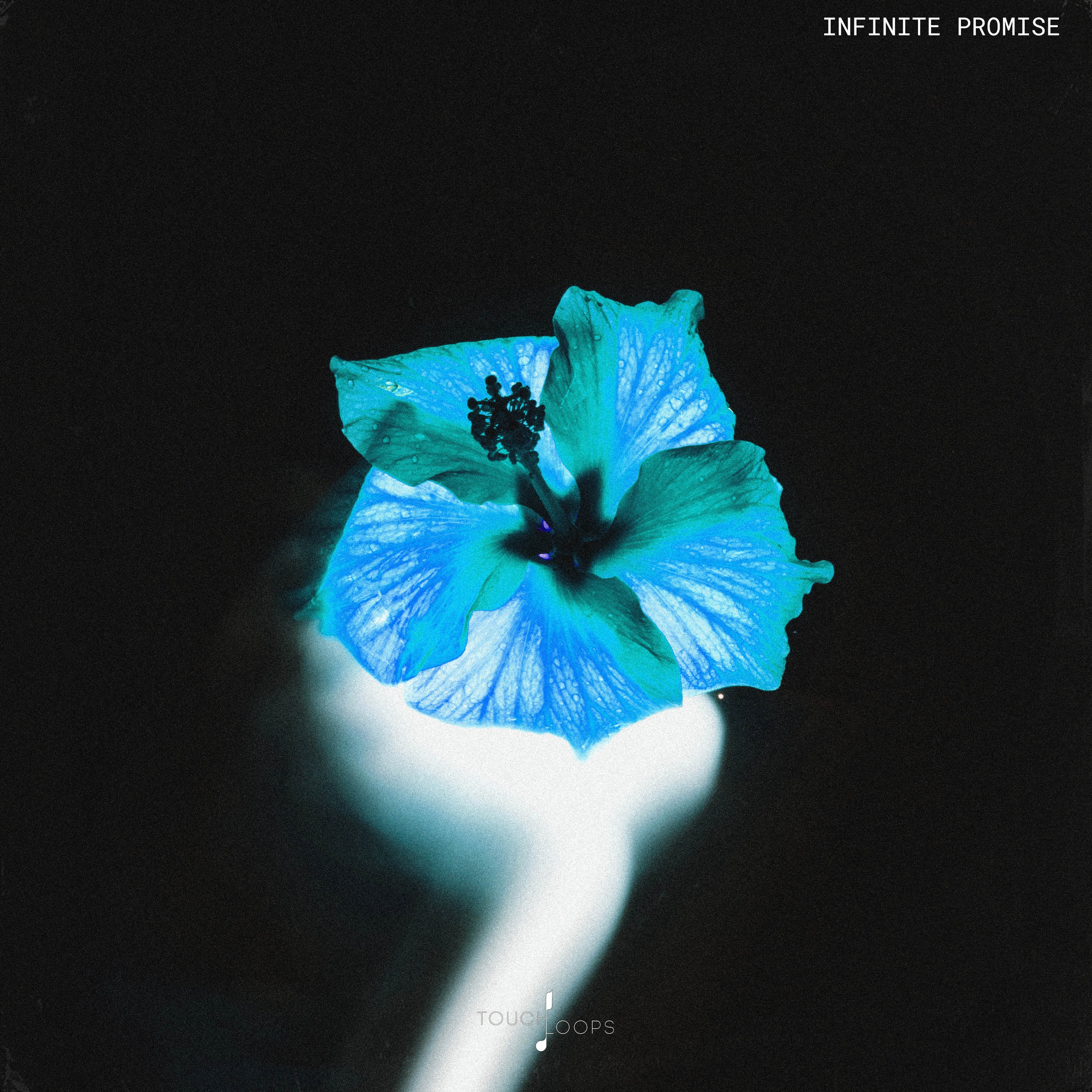 Emotional House Pack | Progressive Garage Loops | Royalty-Free Samples