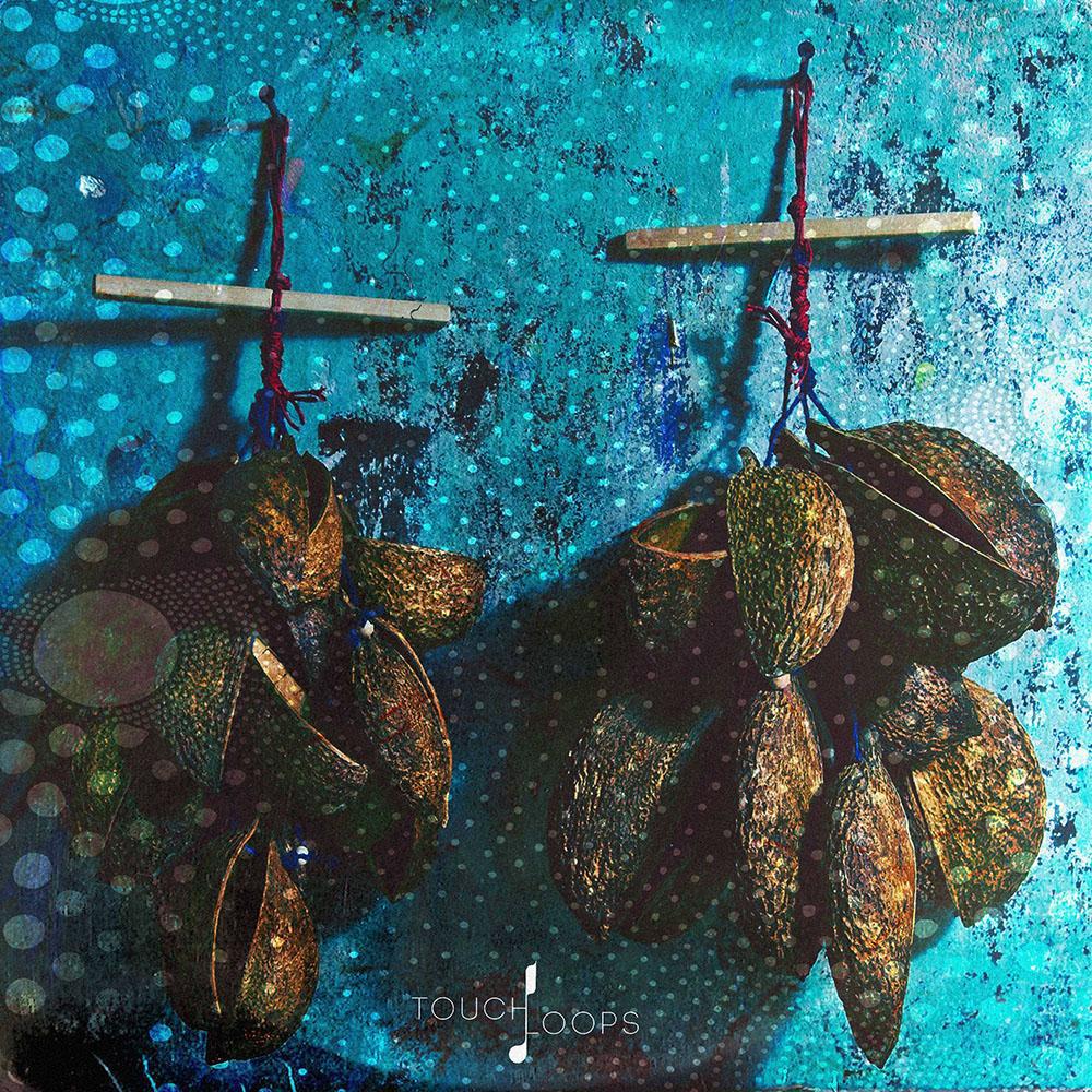 Shaker Samples | Percussion Loops | World Shakers